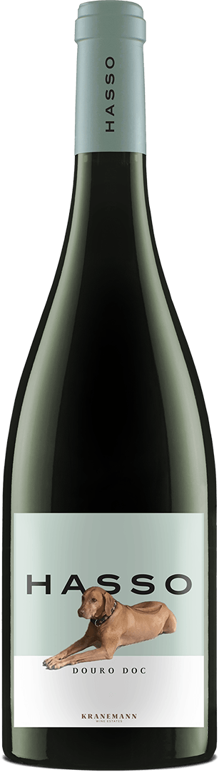 Hasso White Wine, Douro DOC Wine | Kranemann